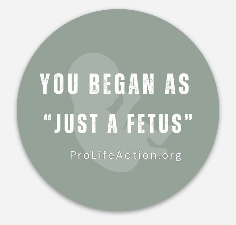 Get educational and activism tools from the Pro-Life Action League ...
